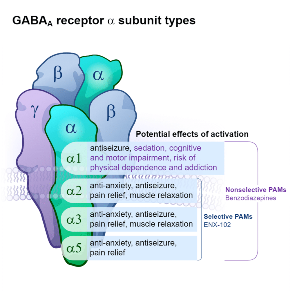 Our Science | Engrail Precision Neuroscience